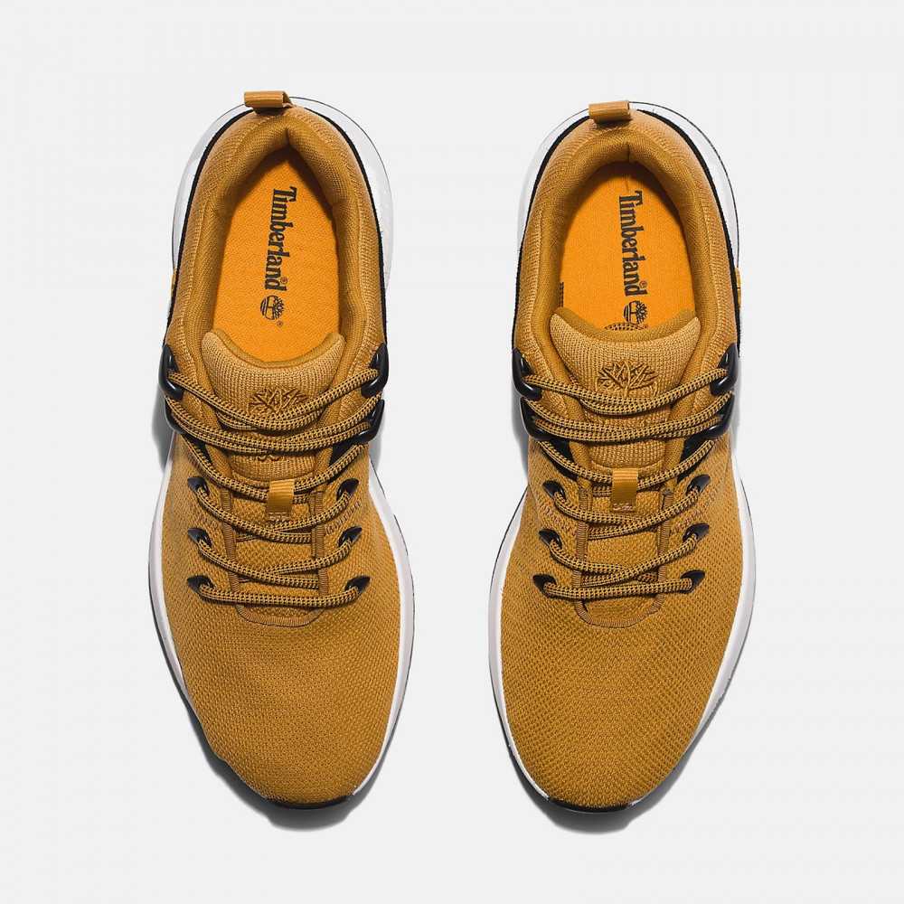 TIMBERLAND Sprint Trekker Low Knit Wheat - Suffern